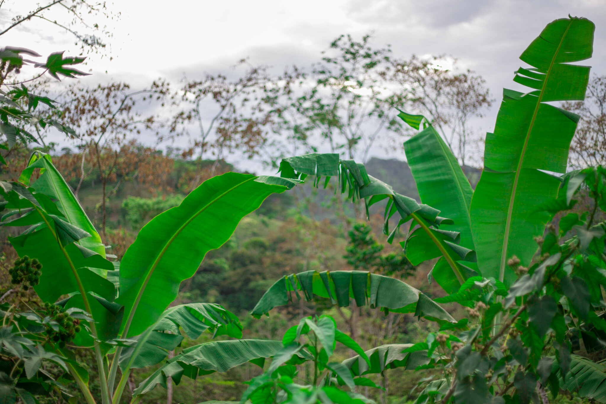 Saving Lives in Remote Nicaragua: A Story of Community and Hope - AMOS ...